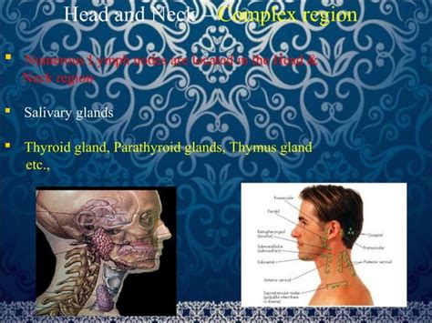 Dentist In Pune Bds Mds Dr Amit T Suryawanshi Differential Diagnosis Of Head And Neck