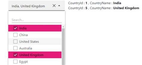 Combobox In Angular Using Ignite UI