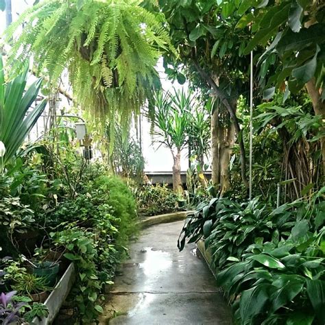 Tropical Greenhouse Tropical Greenhouses Instagram Photo Greenhouse