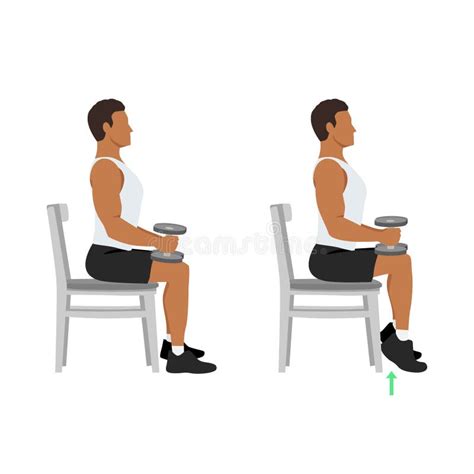 Seated Dumbbell Stock Illustrations 118 Seated Dumbbell Stock Illustrations Vectors Clipart