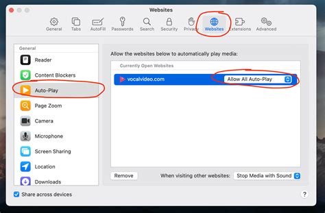 Tips For Editing Videos In Safari Vocal Video Help Center