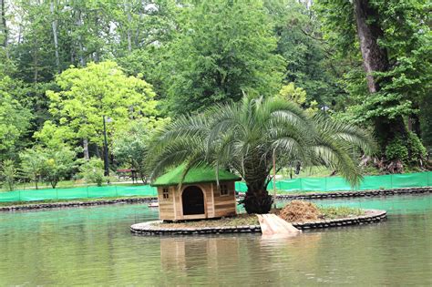 ზუგდი ზუგდიდის ბოტანიკური ბაღი Zugdidi Botanical Garden