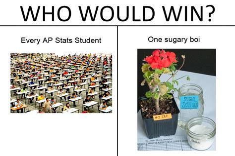 AP Statistics R APbabes