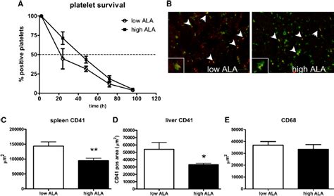 Platelet Clearance In Spleen And Liver Is Reduced After A High Ala Download Scientific Diagram