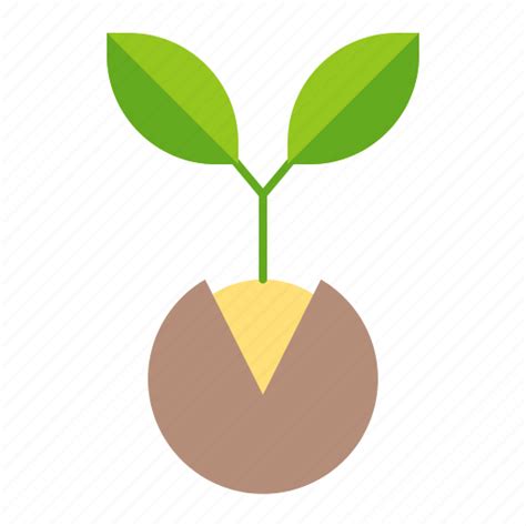 Nature Spring Sprout Tree Icon Download On Iconfinder