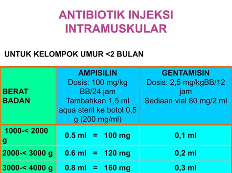 Tatalaksana Standar Ispa Materi 2010 Ppt