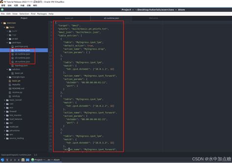 sdn高性能网络之——p4快速入门并实现ecmp load balancing p4网络 csdn博客