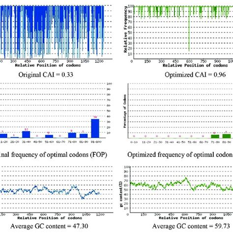 Figure S1 A The Distribution Of Codon Usage Frequency Along The Download Scientific Diagram