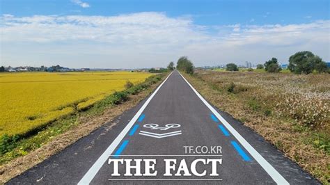 천안시 ‘성환천 억새길 자전거도로 조성경기 안성천까지 연결 전국 기사 더팩트