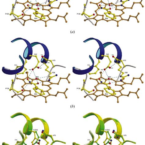 Horseradish Peroxidase