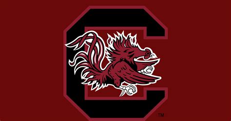South Carolina Gamecocks 2000 Scores Stats Schedule Standings Statmuse