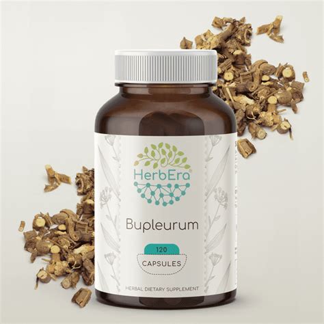 Bupleurum 120 Capsules 500 Mg Organic Bupleurum Bupleurum Chinense Dried Root
