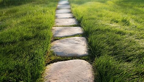 Path Through Grass Images Free Download On Freepik