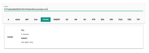 How To Add Your Domain With Cname Verification Domains And Dns Infinityfree Forum