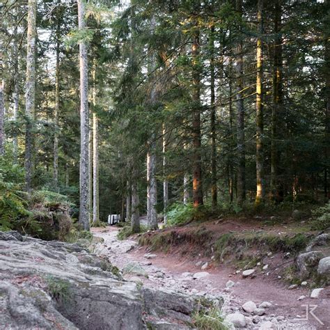 La Tour De Mérelle Voir Au Dessus Des Sapins Julien Rabier