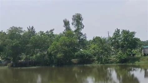 সুন্দর প্রাকৃতিক পরিবেশ Youtube