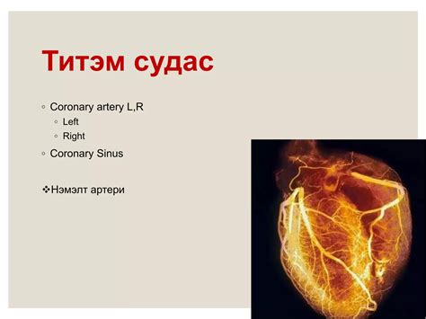 Зүрхний анатоми ба физиологи Pptx