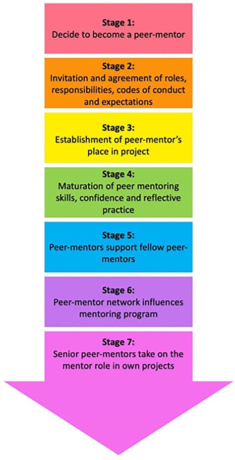 Peer-mentor development stages.... | Download Scientific Diagram