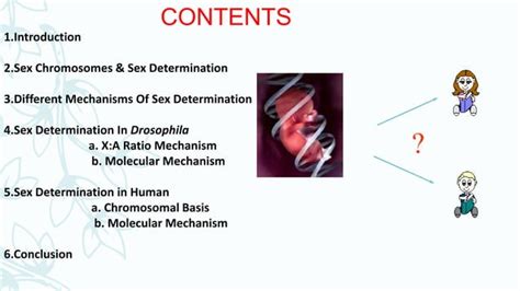 Sex Determination In Drosophila Human PPTX Reproductive Health Diseases And Conditions
