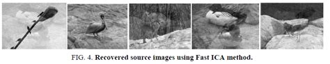 assessment of mutual information based least dependent component