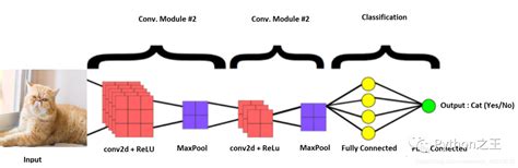 深度学习越来越卷教你使用Python实现卷积神经网络CNN CSDN博客