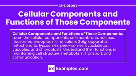 Unit 21 Cellular Components And Functions Of Those Components Notes