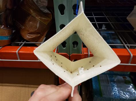 권연벌레 해충 퇴치법