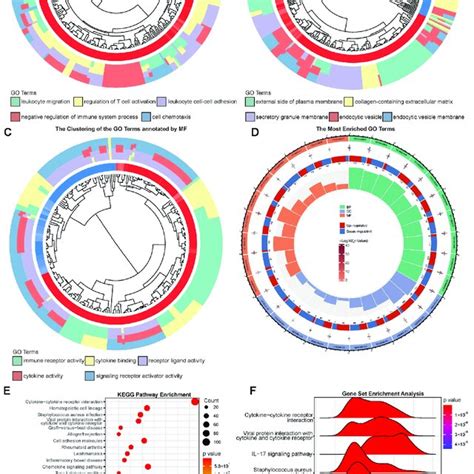 signal transduction related pathways enriched a c clustering results