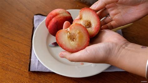 우리의 빠히 냉동 햄버거 형님네 집들이 몽막쉐 장보기 살로몬과 폴로 쇼핑 신기하고 맛있는 자두 빨래방 호띠 드 보 Rôti De Veau 파리 일상 브이