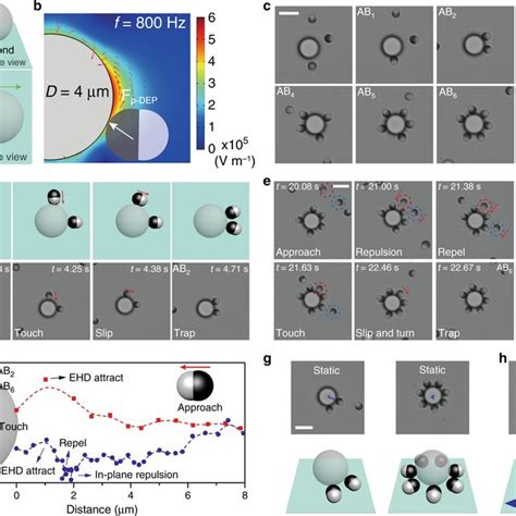 Dynamics Of Colloidal Molecules By Purely Dielectric Spheres A Download Scientific Diagram