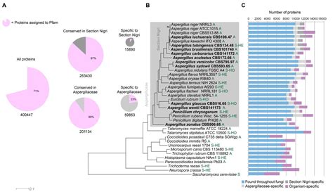 Comparative Genomics Reveals High Biological Diversity And Specific