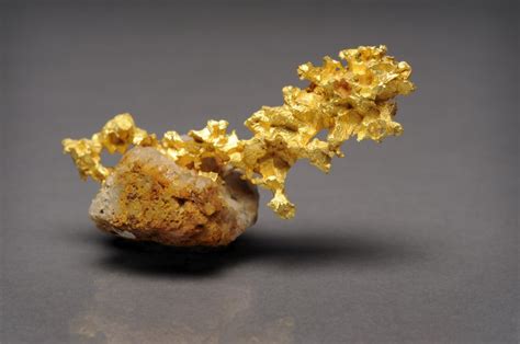 Gold On Quartz The Australian Museum