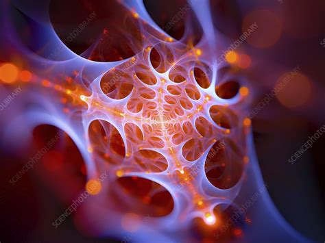 Network Abstract Fractal Illustration Stock Image F0293950 Science Photo Library