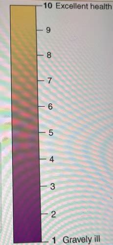 Chp Promoting Health And Wellness Flashcards Quizlet