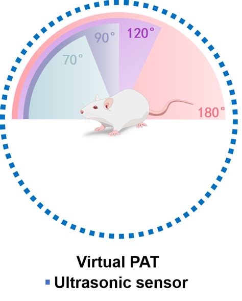 Limited View Photoacoustic Imaging Reconstruction Via High Quality Self