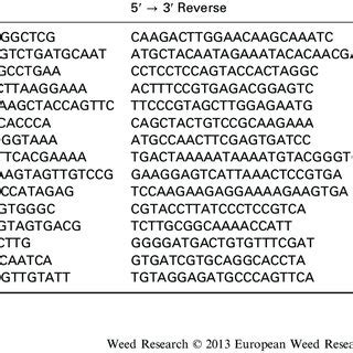 Simple Sequence Repeats Markers Used For Evaluating Genetic Diversity Download Table