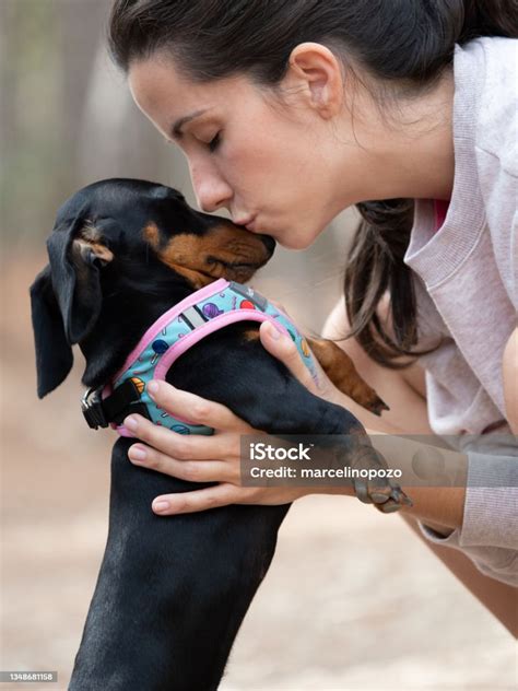 젊은 백인 여자 포옹 과 키스 에 검정 부드러운 머리 미니어처 닥스훈트 에 숲 가축에 대한 스톡 사진 및 기타 이미지 가축 개 개과 Istock