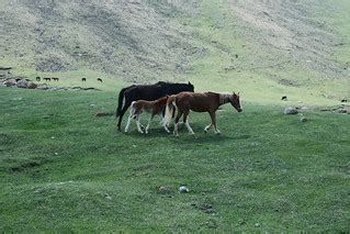 Untitled Cindy Pepper Flickr