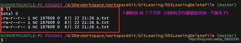 git基础 删除文件 rm git rm 命令详解 csdn博客