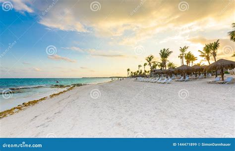 Beautiful White Sand Beach In Akumal Mexico Paradise Bay Beach In