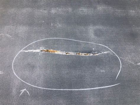 Protect Your Roof Before Its Too Late 😳 Joe Jarkowsky