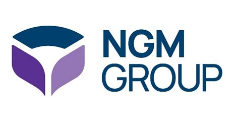 Executive Team Ngm Group Ltd Ngm