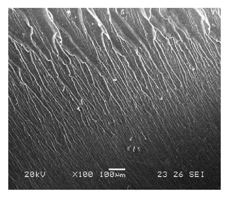 Sem At 1000x Magnification Of Tensile Fracture Surface Of Upeops Download Scientific Diagram