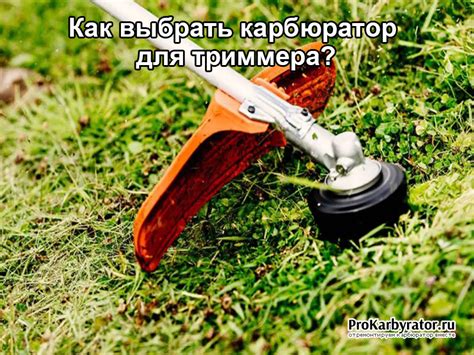 Как выбрать карбюратор для триммера?