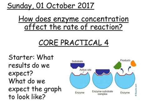 Edexcel Snab Biology Topic 2 Genes And Health Topic 2b Proteins And Enzymes Teaching