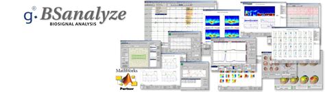 biosignal recording and analysis software