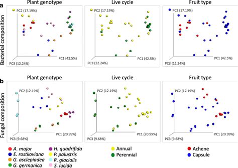 Beta Diversity Analysis Calculating Microbiome Composition Dependencies Download Scientific
