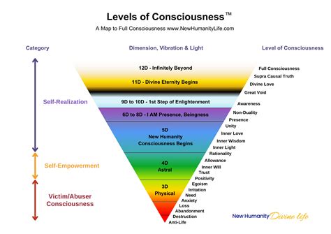 What Are Levels Of Consciousness Divine Marga