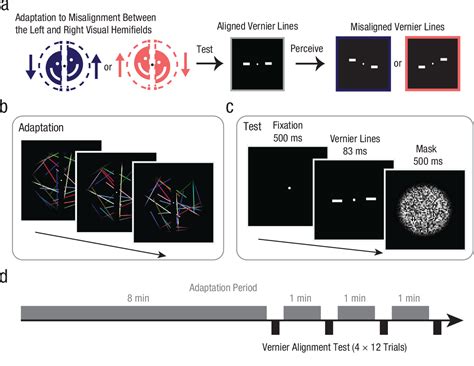 Figure 1 From Unifying Visual Space Across The Left And Right