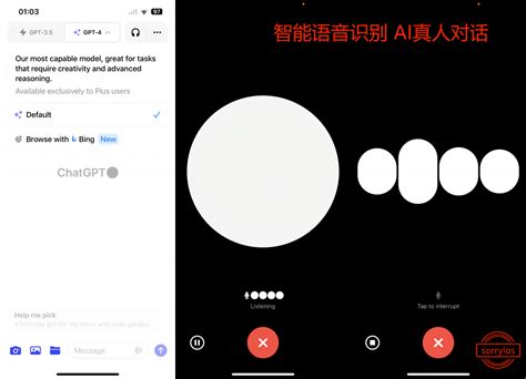chatgpt4 0 plus 购买 账号共享 图片识别 注册登录 毕业季论文 中文 ai人工智能